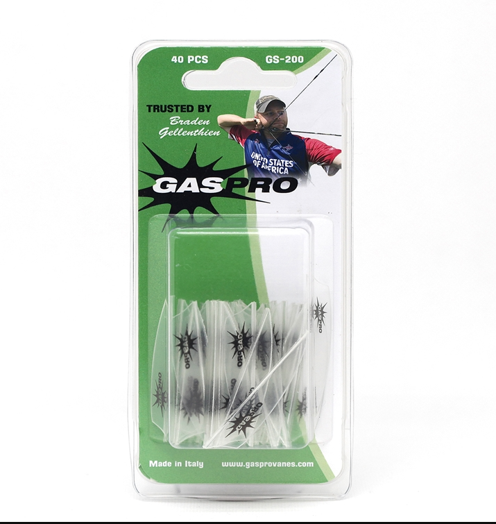 Gas Pro GS200 ベイン