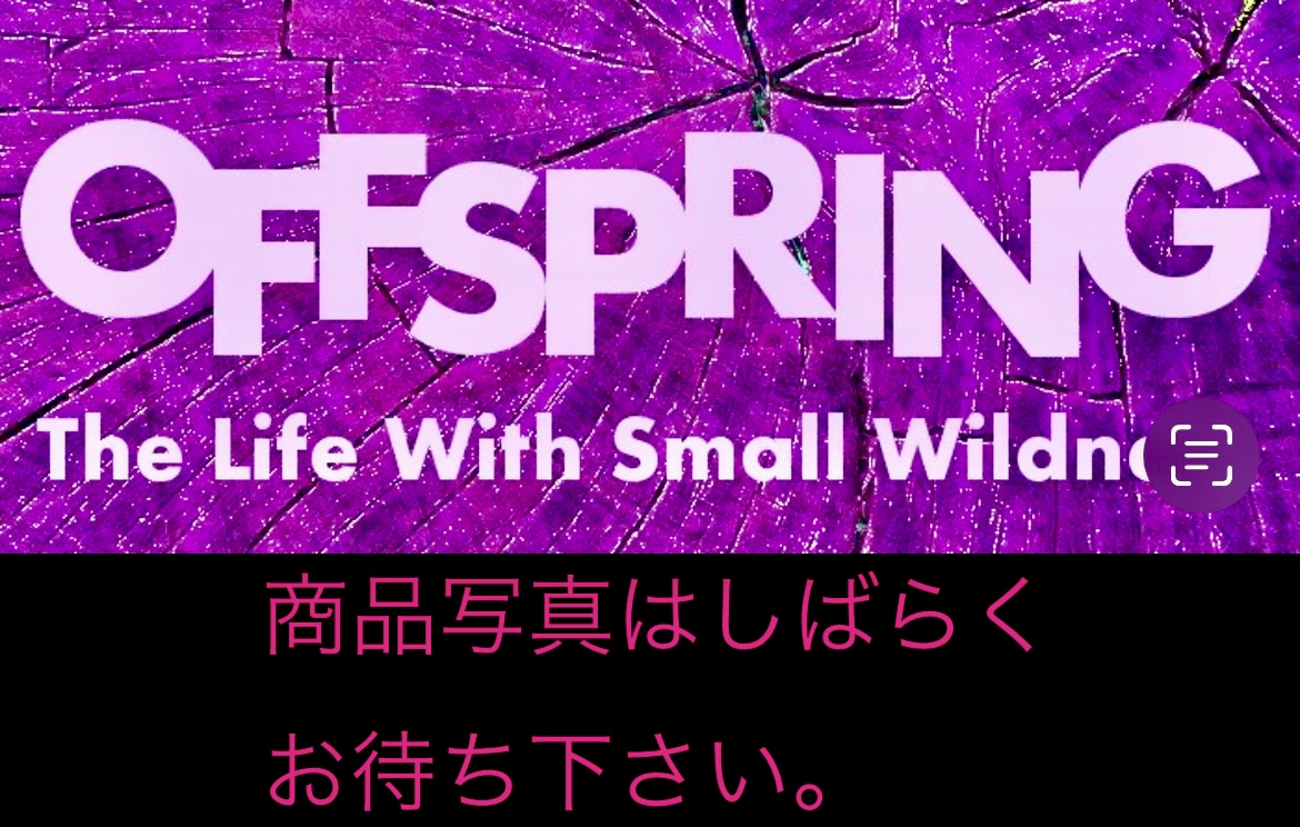 Ap 1cm ベラクルスダイヤモンドバック【Aphonopelma sp diamond back】 - OFFSPRING (オフスプリング ...